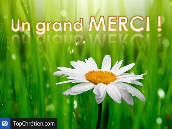 Un grand MERCI de TopChrétien - Carte virtuelle - Merci — TopChrétien